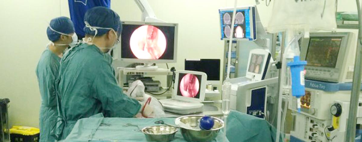 Endoscopy and Multilayer Medical Trolley in Endoscopic Camera System ...